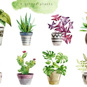 Watercolor Indoor Plants Clipart. House Greenery. Wedding Invitation ...