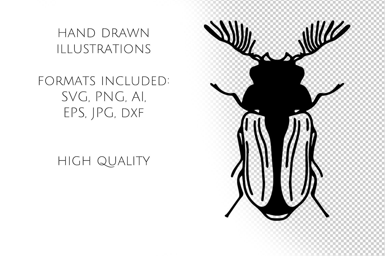 Bugs SVG Insects SVG Bugs Outline Clipart Beetle Svg Line - Etsy