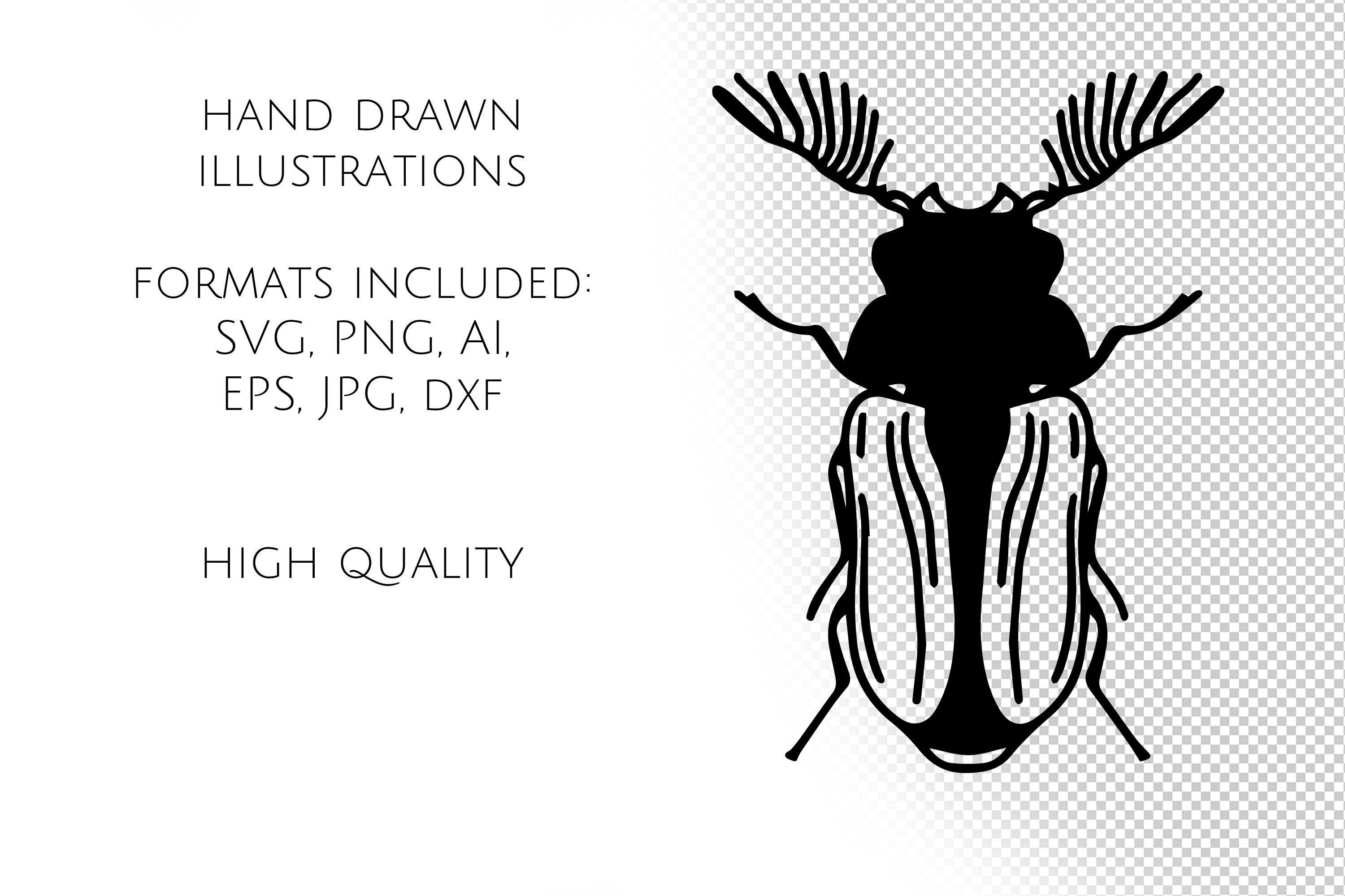 Bugs SVG Insects SVG Bugs Outline Clipart Beetle Svg Line - Etsy