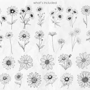 Daisies Line Art SVG, Outline Sunflowers SVG, Floral Svg, Daisy Clipart ...