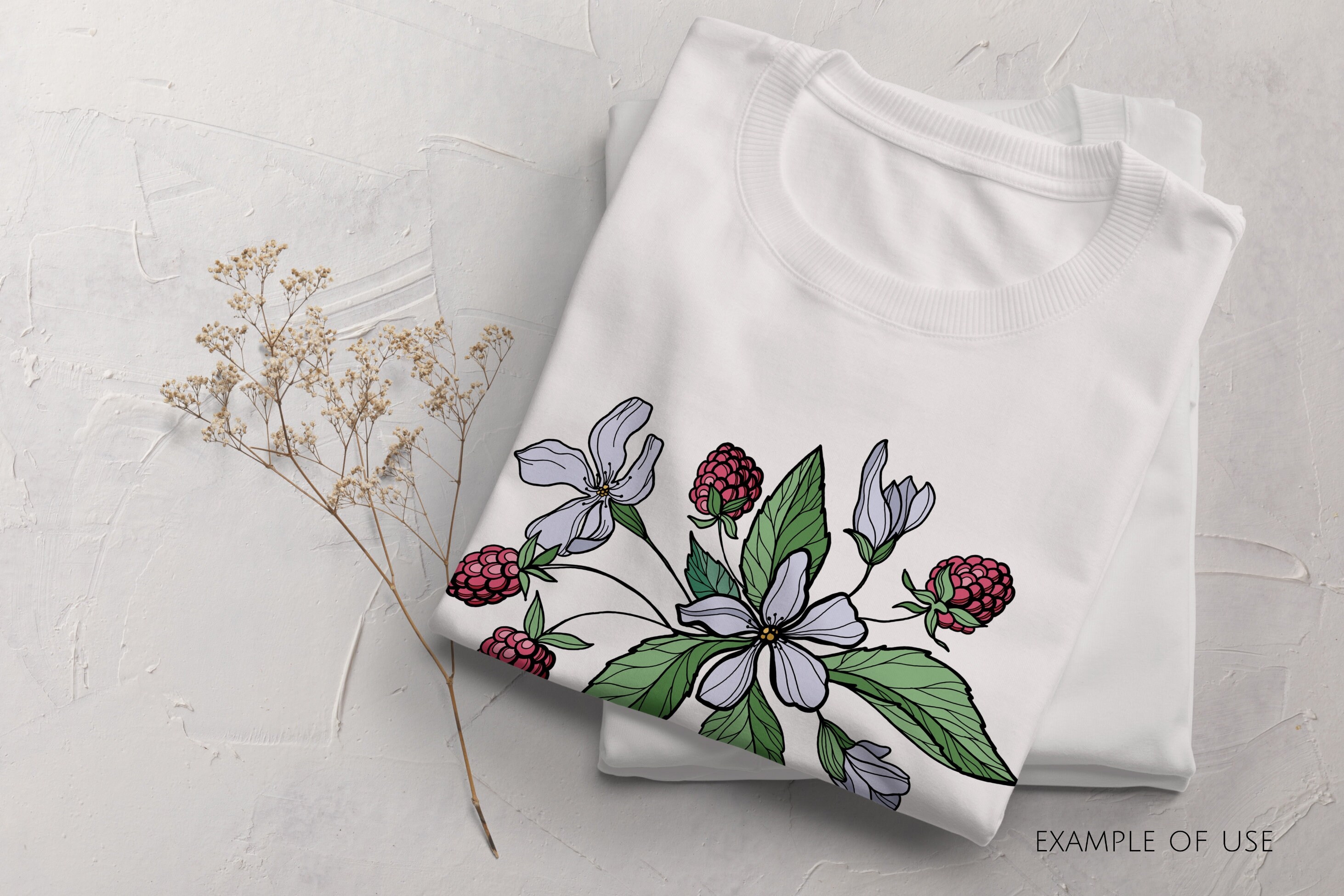 Raspberry Svg, Berries Svg, Vector Flowers, Vintage Botanical, Svg ...