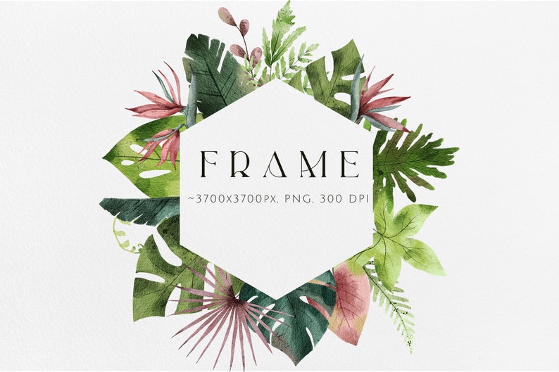 Tropical Frames PNG Floral Frame Geometry Frame - Etsy
