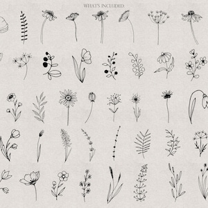 Floral Doodle Procreate Stamps, Procreate Brushset, Line Art Floral ...