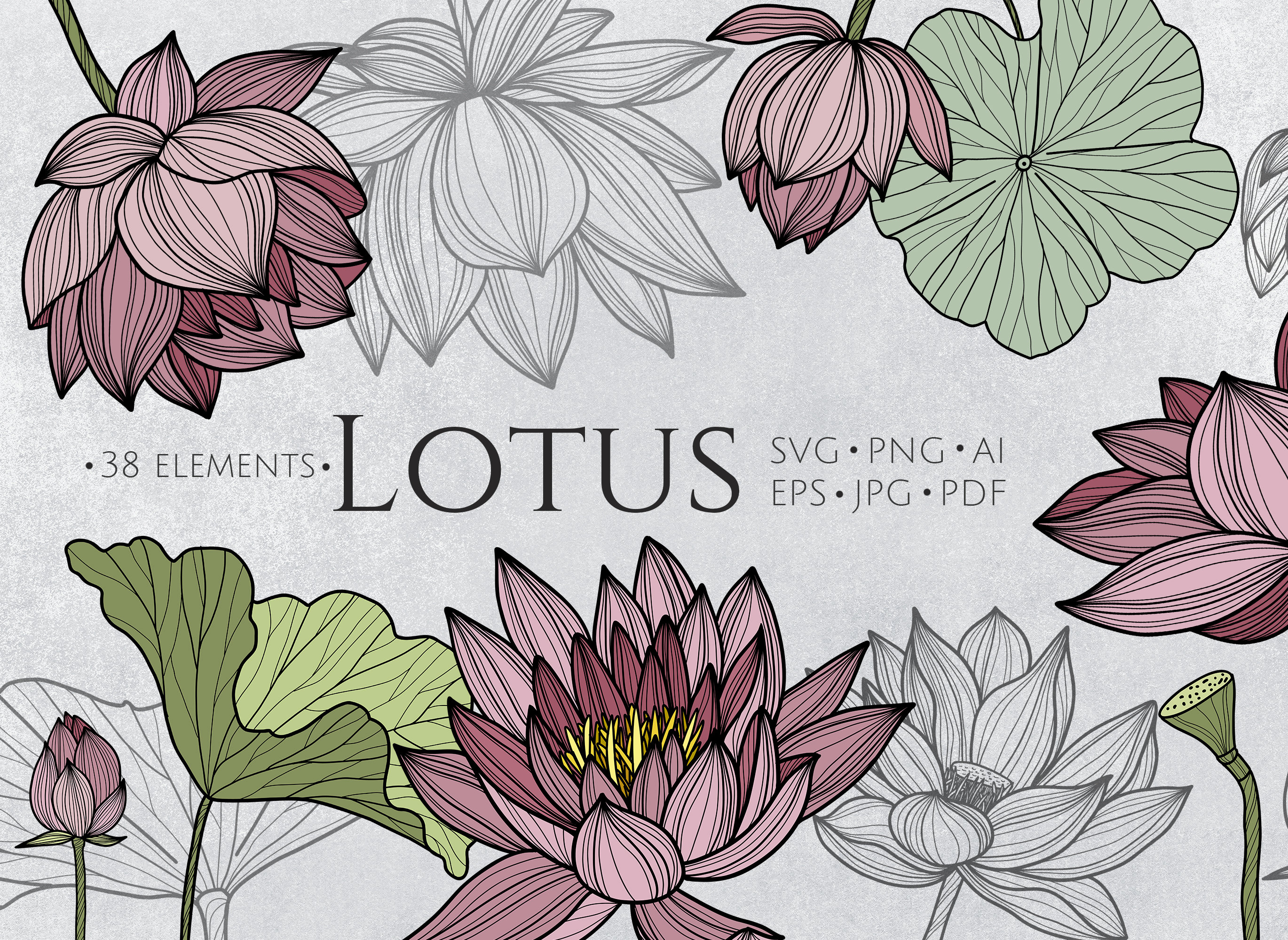 Lotus Svg Lily Svg Flowers Svg Images Lotus Flowers Vector - Etsy