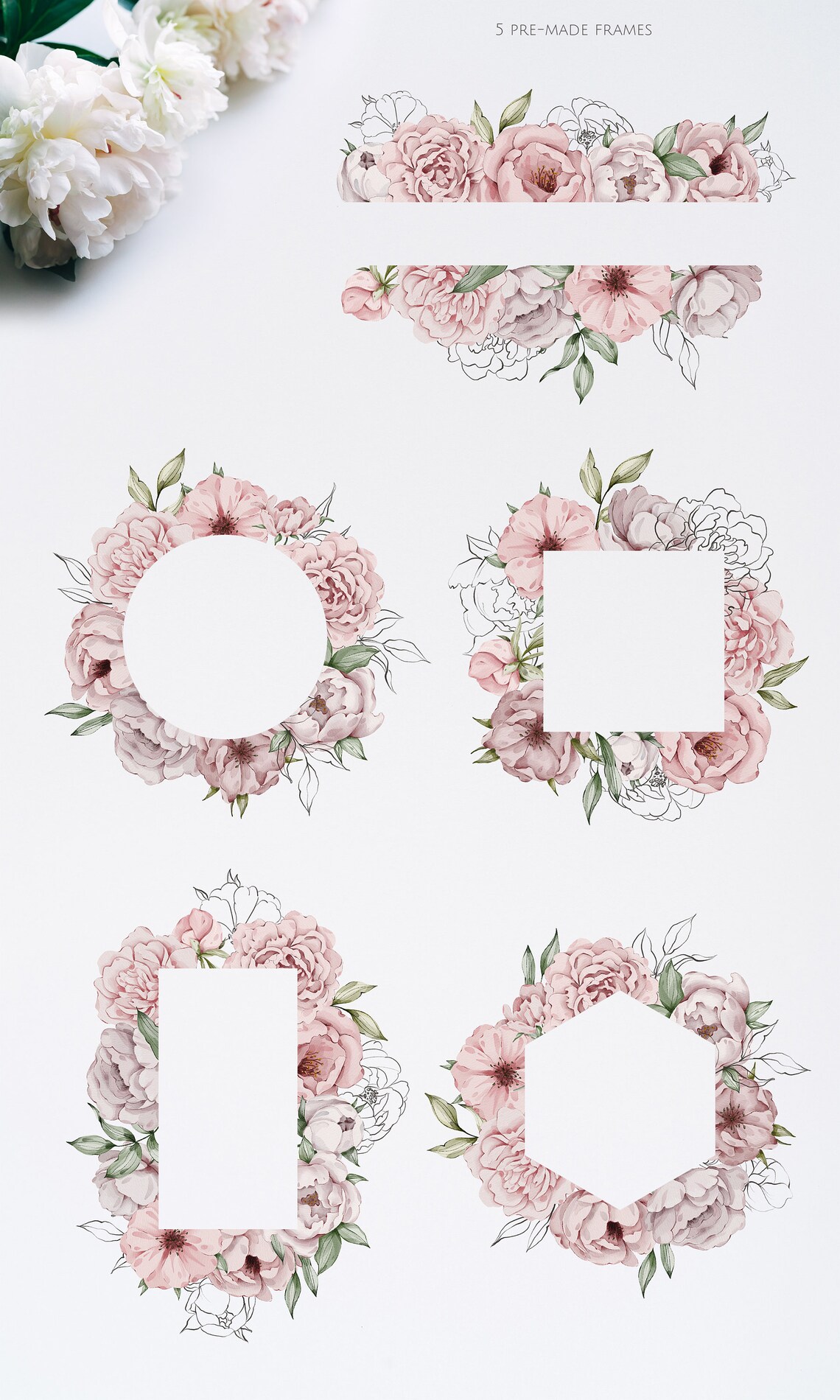 Peony Frames PNG Floral Frame Geometry Frame Watercolor - Etsy