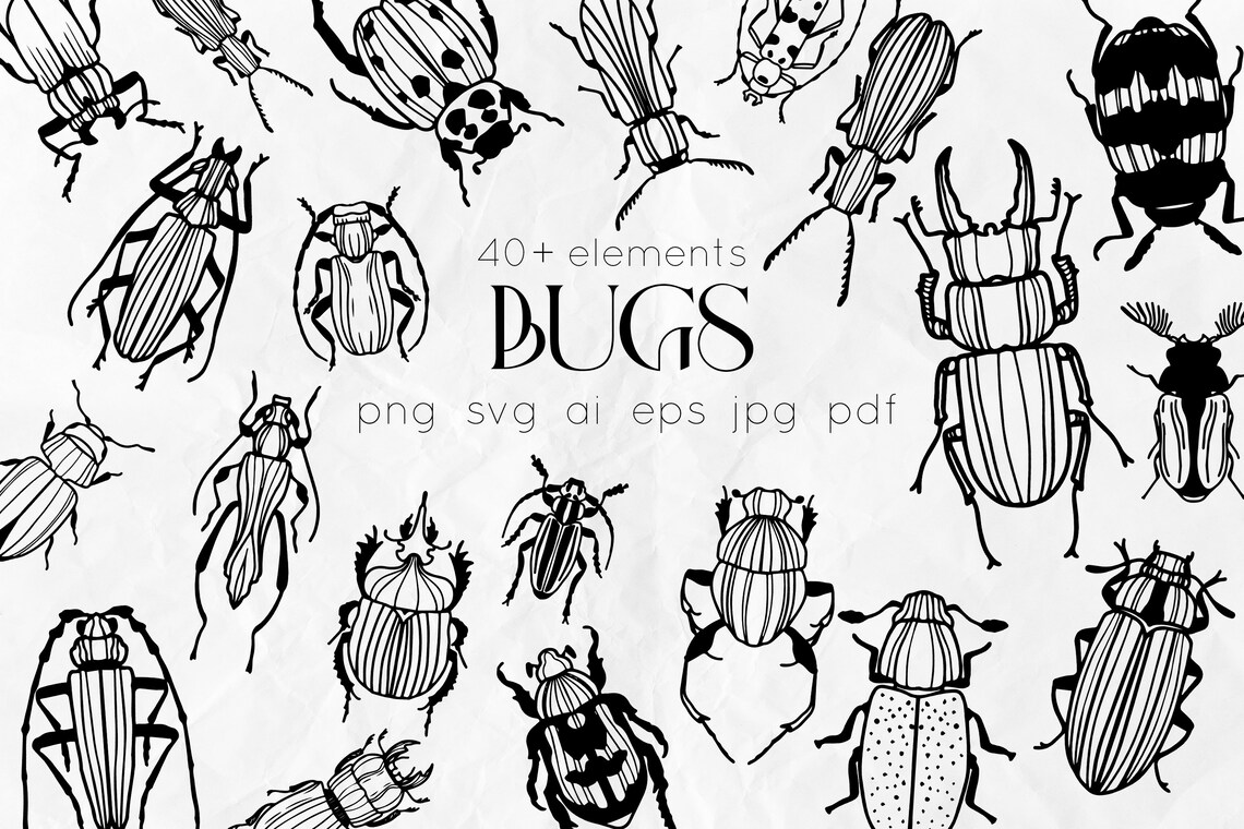 Bugs SVG Insects SVG Bugs Outline Clipart Beetle Svg Line - Etsy Australia