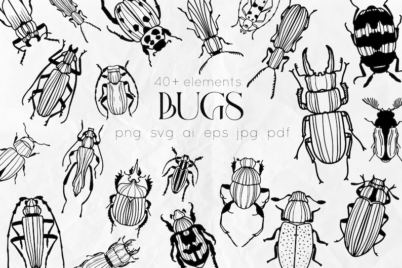 Bugs SVG Insects SVG Bugs Outline Clipart Beetle Svg Line - Etsy