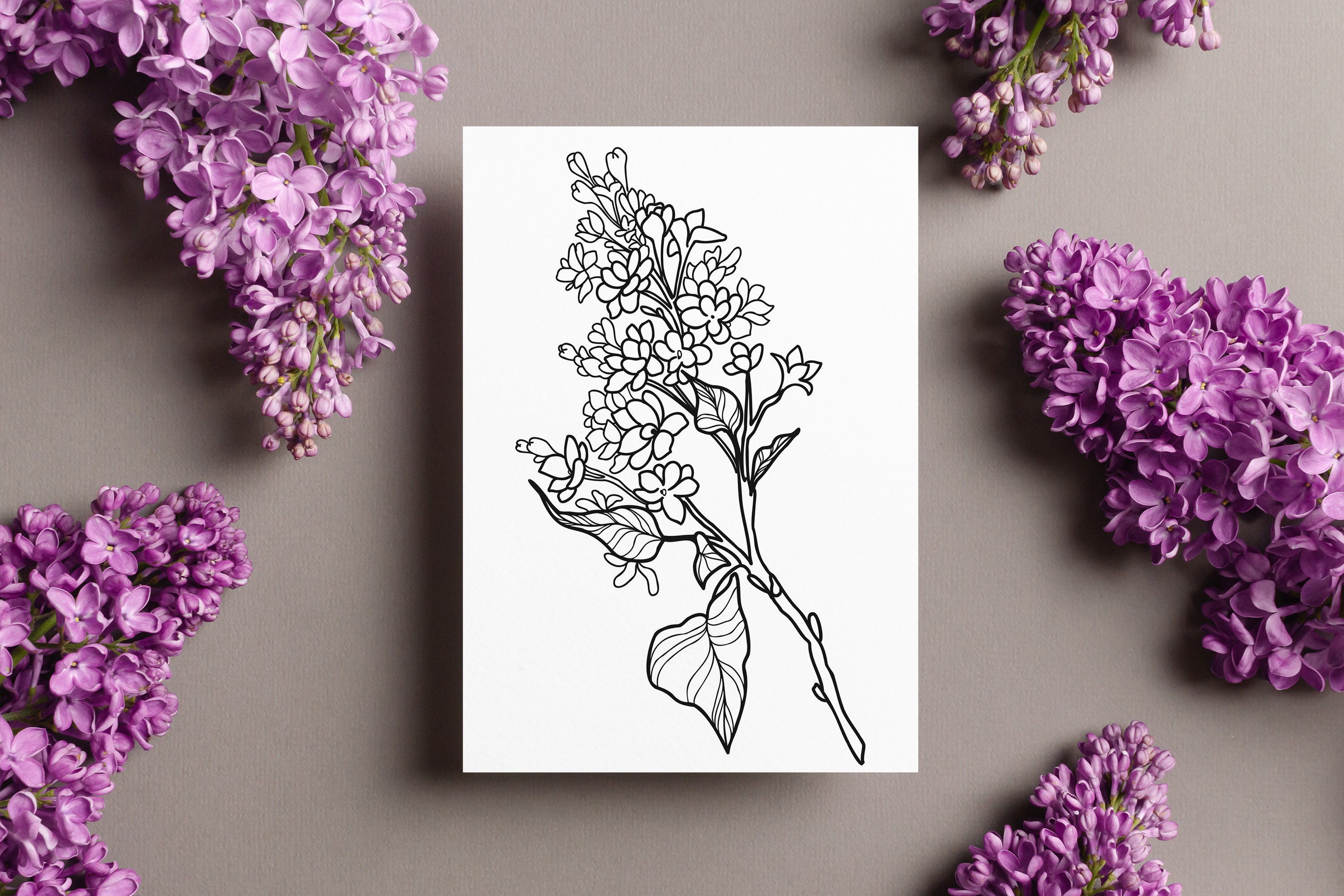 Lilac Flowers Svg, Lilac Line Art Svg Flowers, Floral Svg Clipart - Etsy