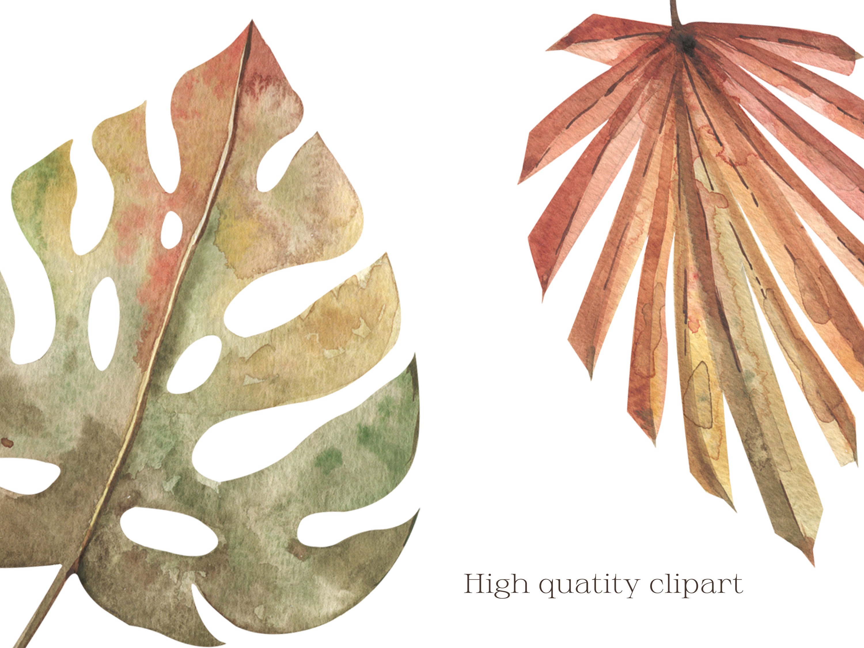 Watercolor Tropical Leaves and Flowers. Digital Clip Art. | Etsy