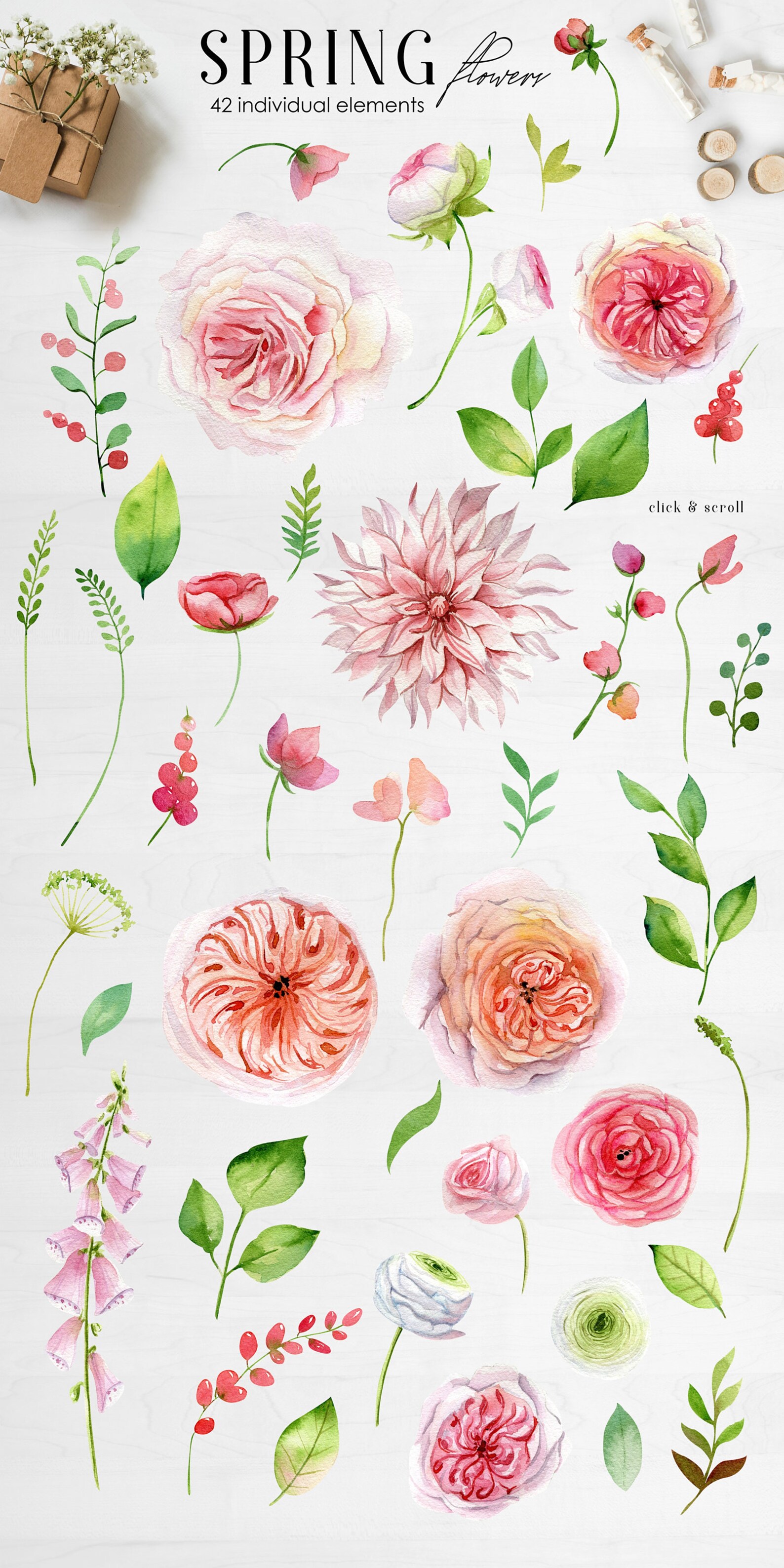 Watercolor Floral Clipart Roses Watercolor Clipart Spring | Etsy