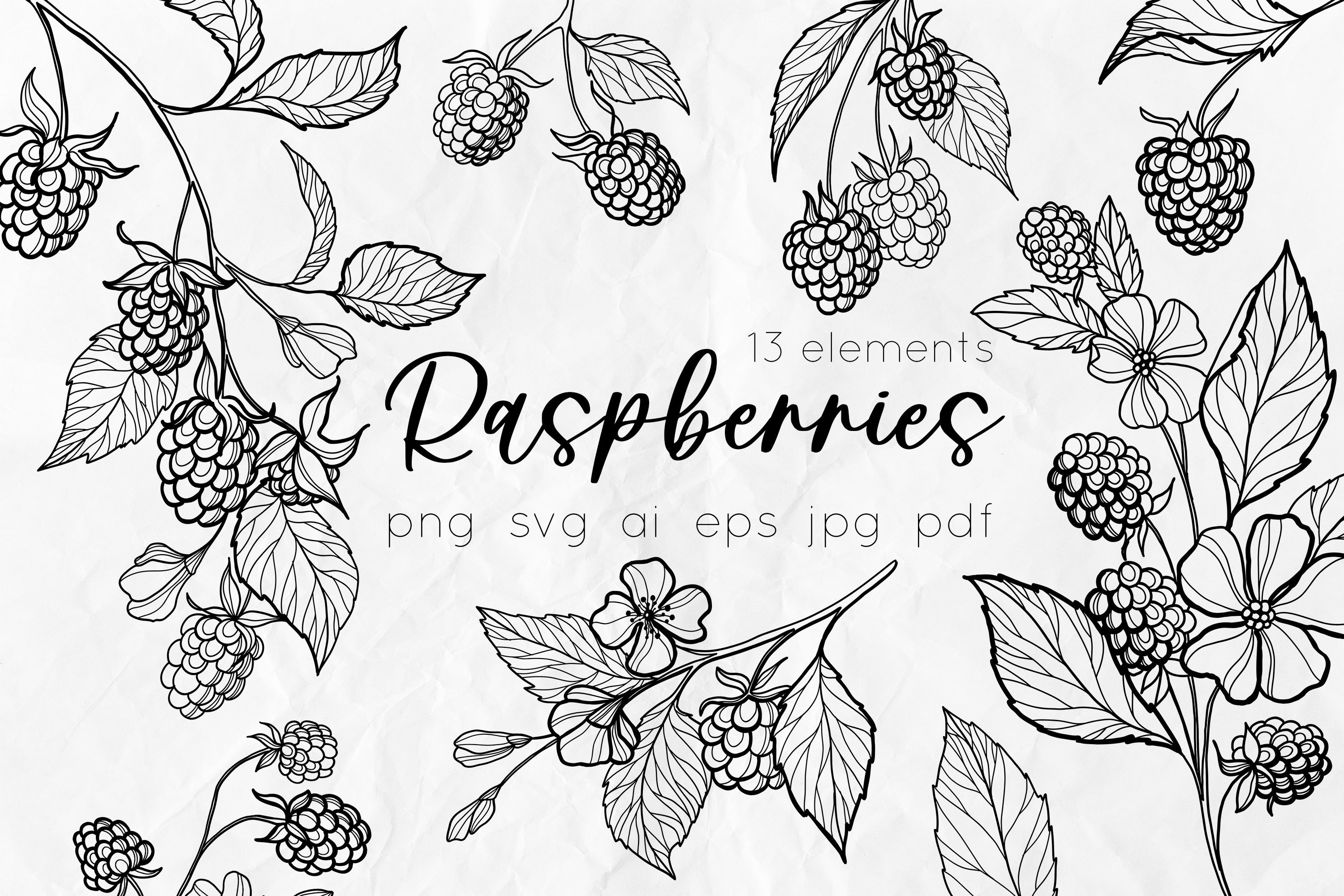 Raspberry Svg Botanical Line Art Floral Svg Berries - Etsy