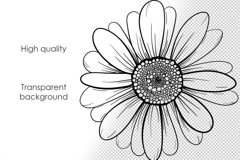 Daisy SVG PNG Daisy Clipart Printable Flowers Line Art - Etsy