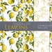 Lemons Watercolor Lemon Clipart Citrus Clipart Lemon Png - Etsy