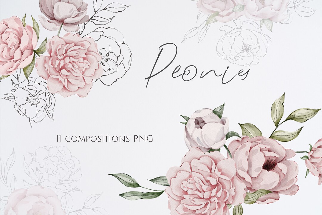 Peonies Bouquet Watercolor Clipart, PNG Peony Composition, Rustic ...
