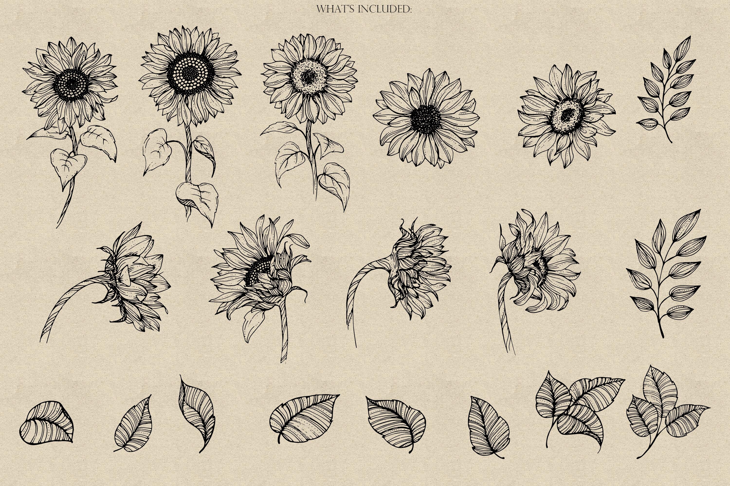 Sunflowers Procreate Stamps, Sunflowers Brushes Procreate, Flower ...