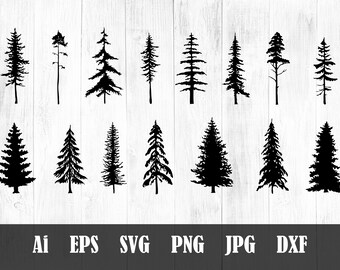 Simple Evergreen Tree Outline