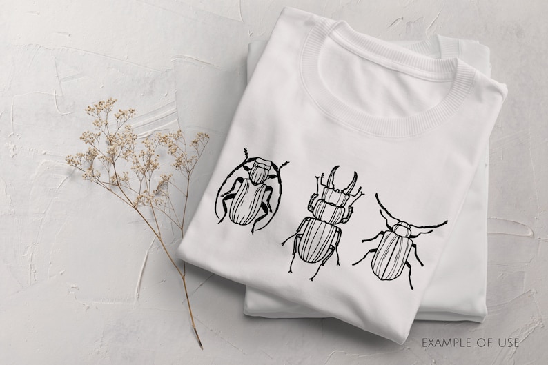 Bugs SVG Insects SVG Bugs Outline Clipart Beetle Svg Line - Etsy