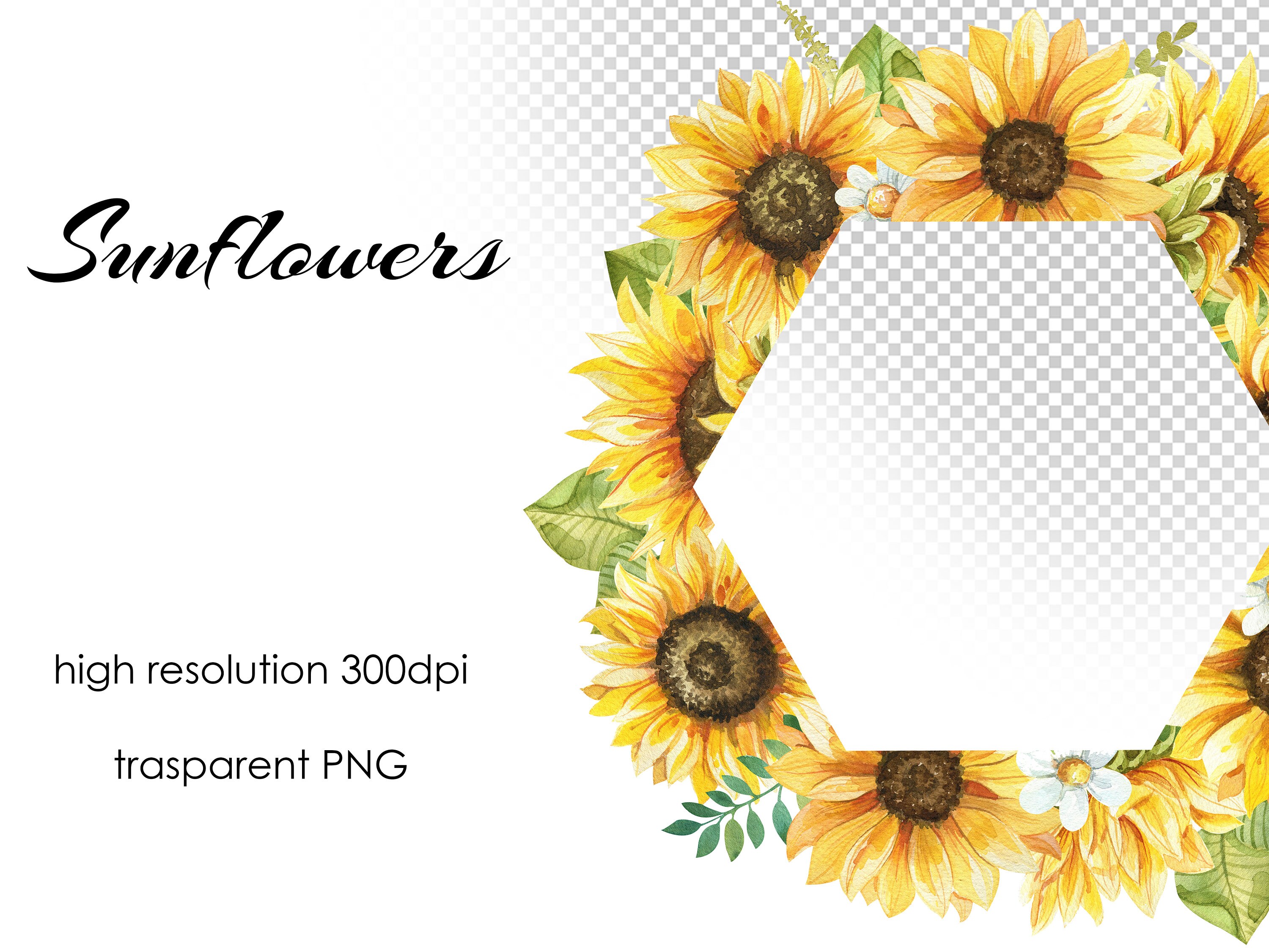 Sunflowers Frames PNG Floral Frame Geometry Frame - Etsy