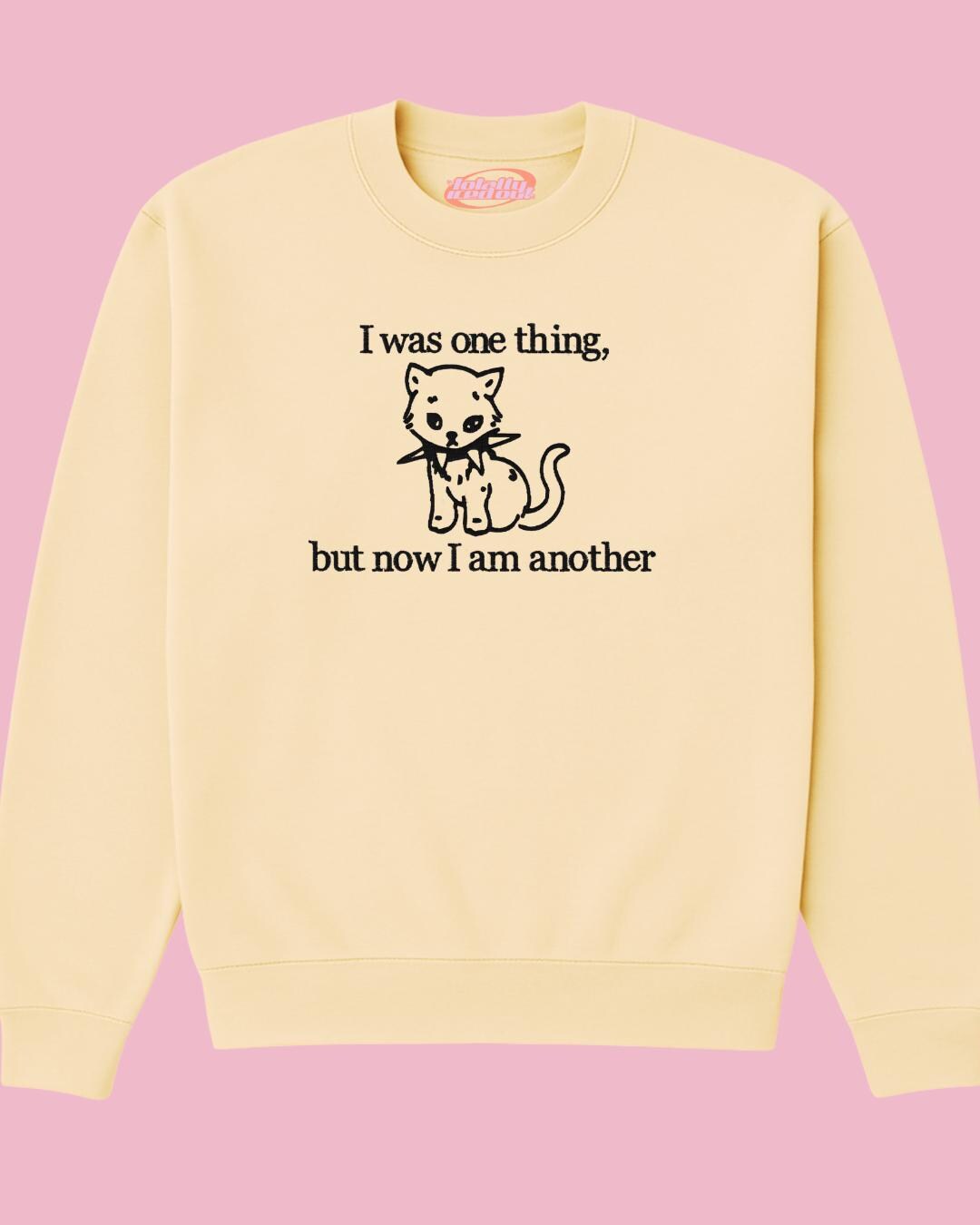 I Was One Thing but Now I Am Another: Meme Graphic Shirts (crop Top ...