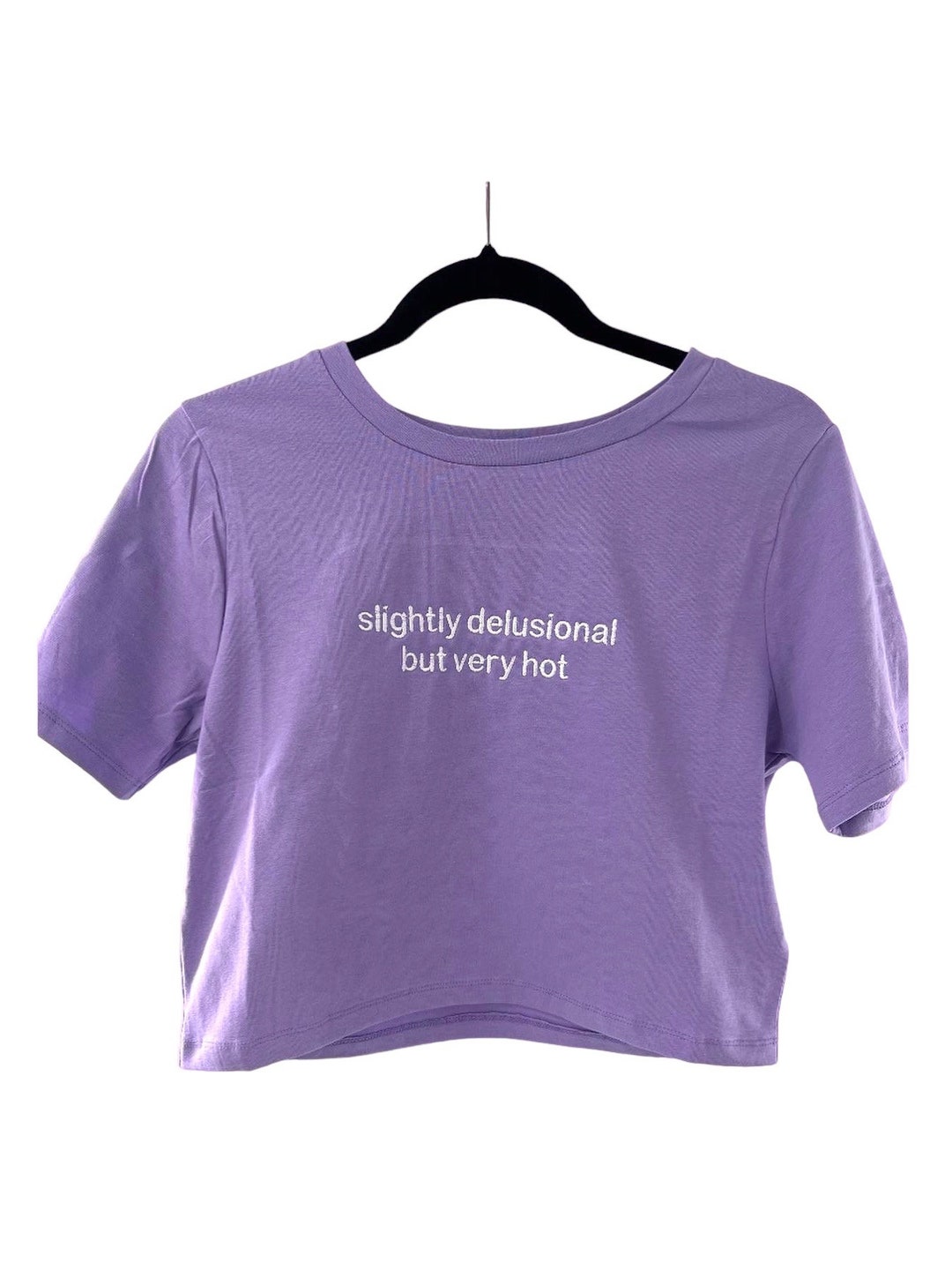 Slightly Delusional but Very Hot Embroidered Crop Top - Etsy