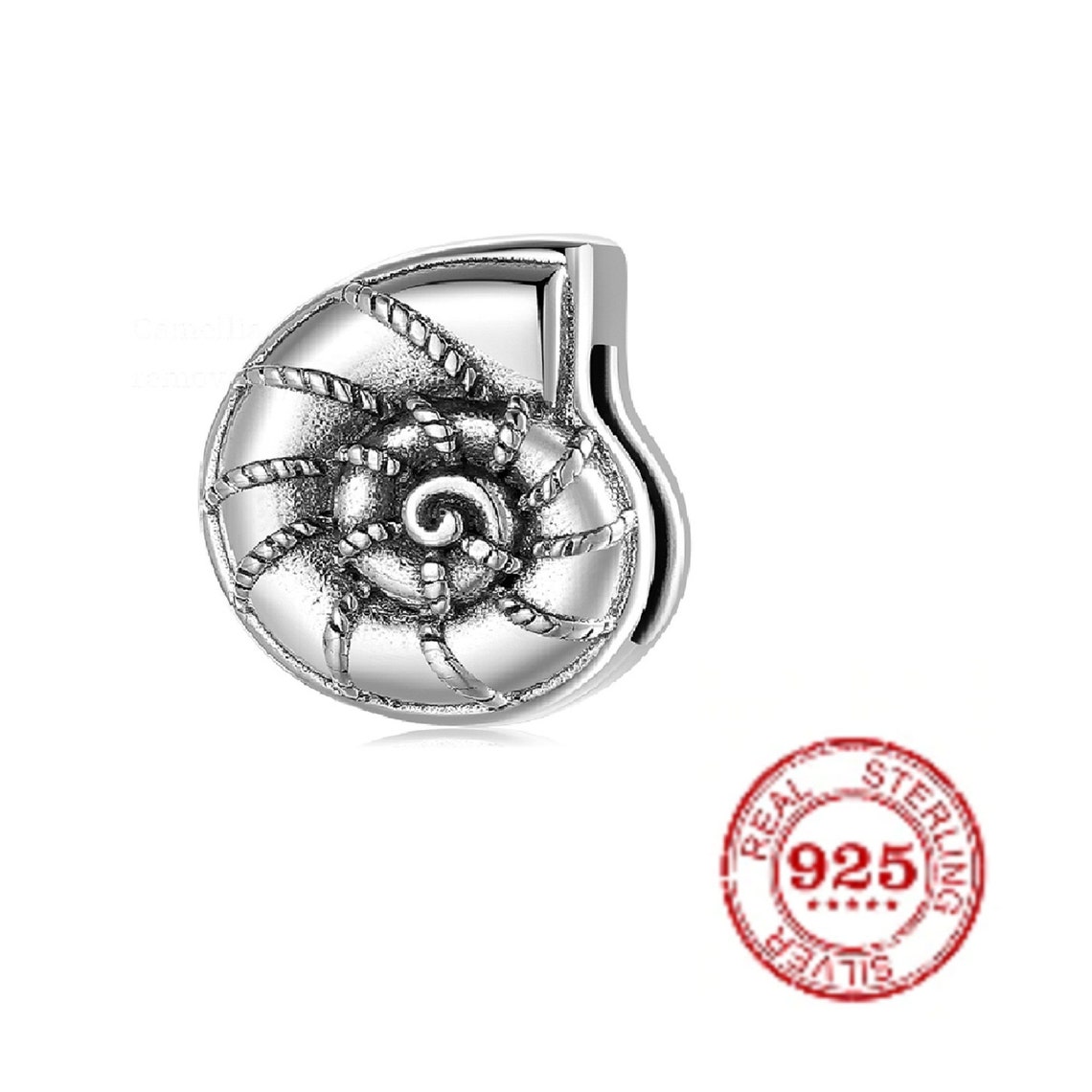 Pandora Reflexions Charm Reflexions Bracelet Charm Clip Charm - Etsy