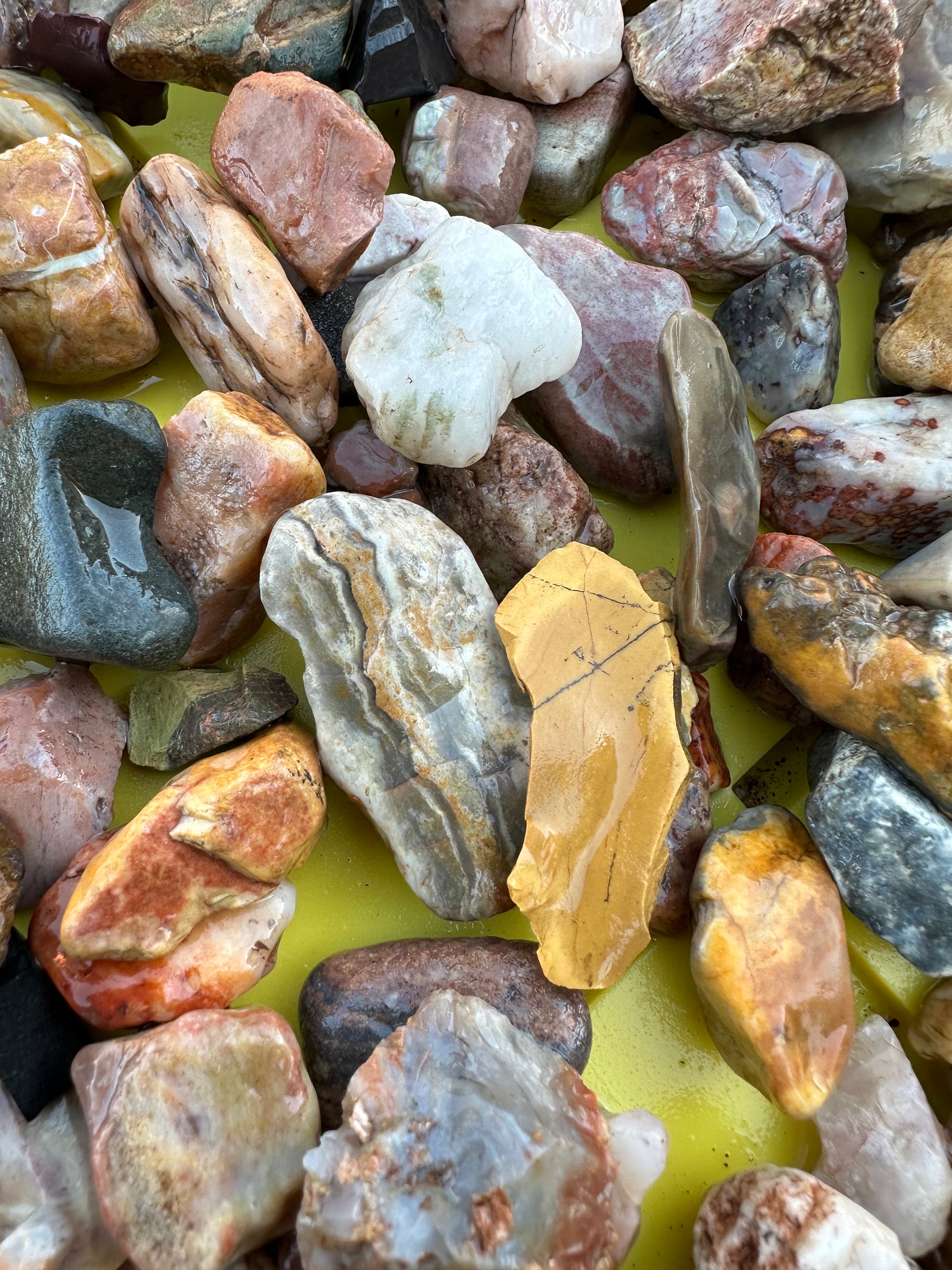 1lb Rough Variety Packs. 1lb of Arizona Agates, Jaspers, Quartz ...