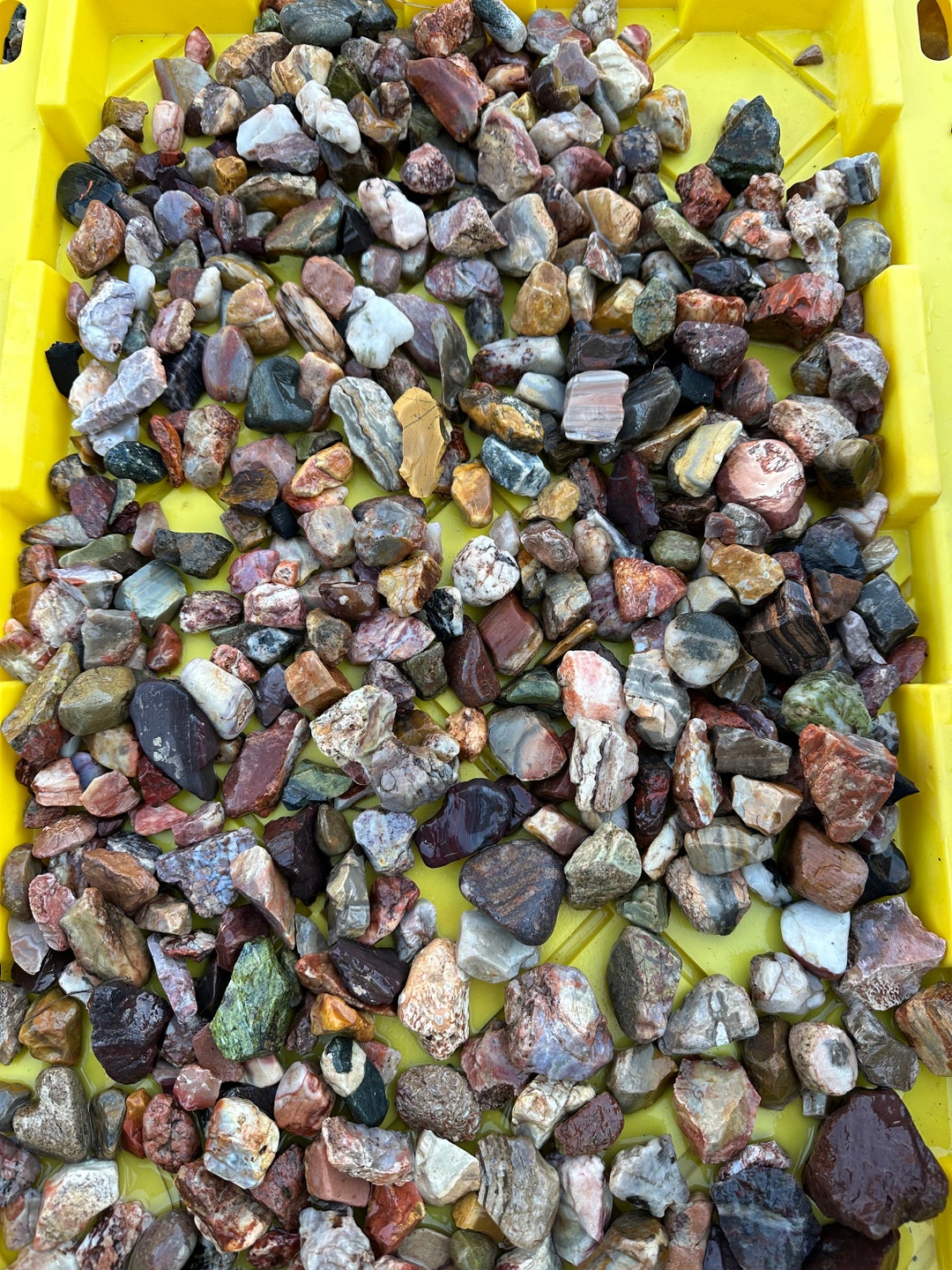 Variety Packs Are Back. Get a Variety of Arizona Agates - Etsy