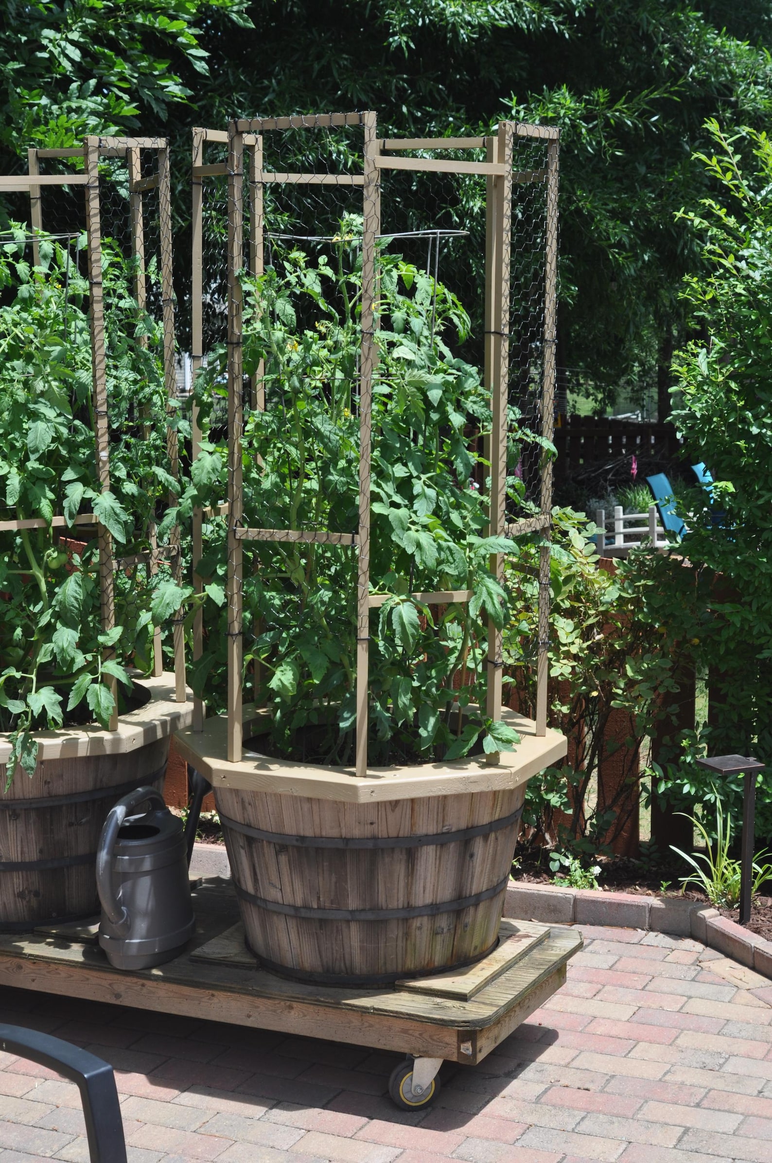 Half Barrel Tomato Cage Topper - Etsy