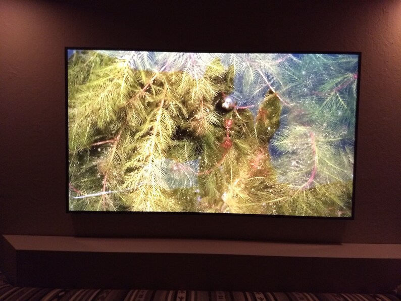 The Frame TV Digital Downloadfrom an Original Photograph for | Etsy