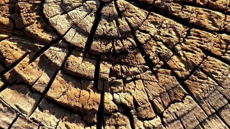 The Frame TV Digital Downloadfrom an Original Photograph for | Etsy