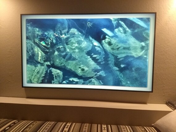 The Frame TV Digital Downloadfrom an Original Photograph for | Etsy