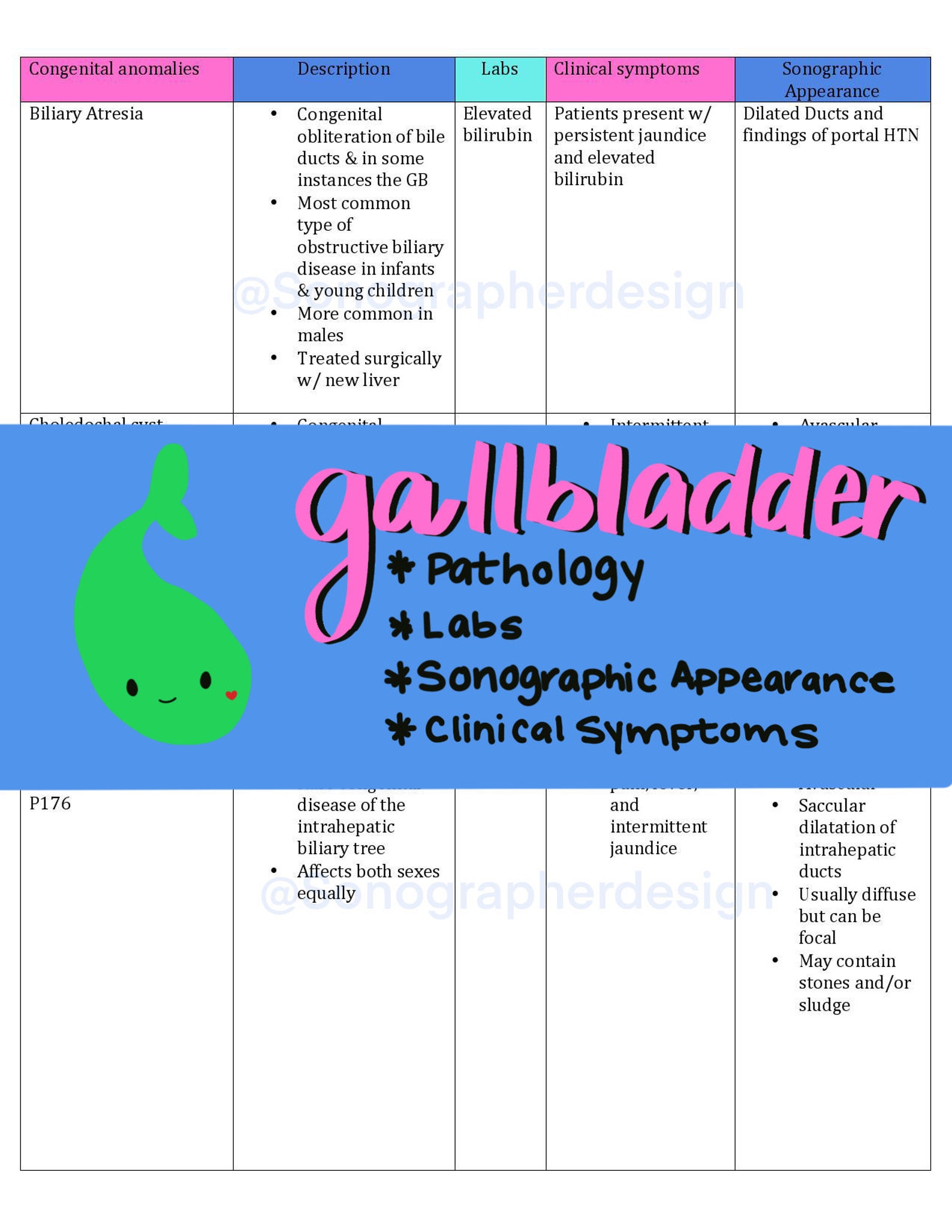 Ultrasound Notes Gallbladder Pathology Chart Ultrasound - Etsy