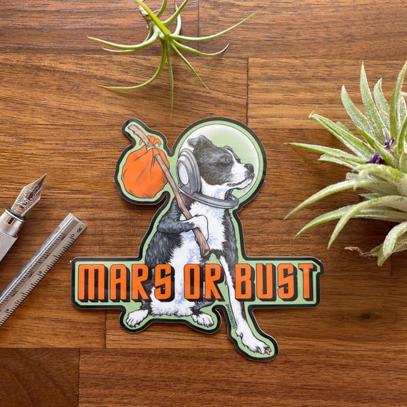Mars or Bust Vinyl Sticker - Etsy