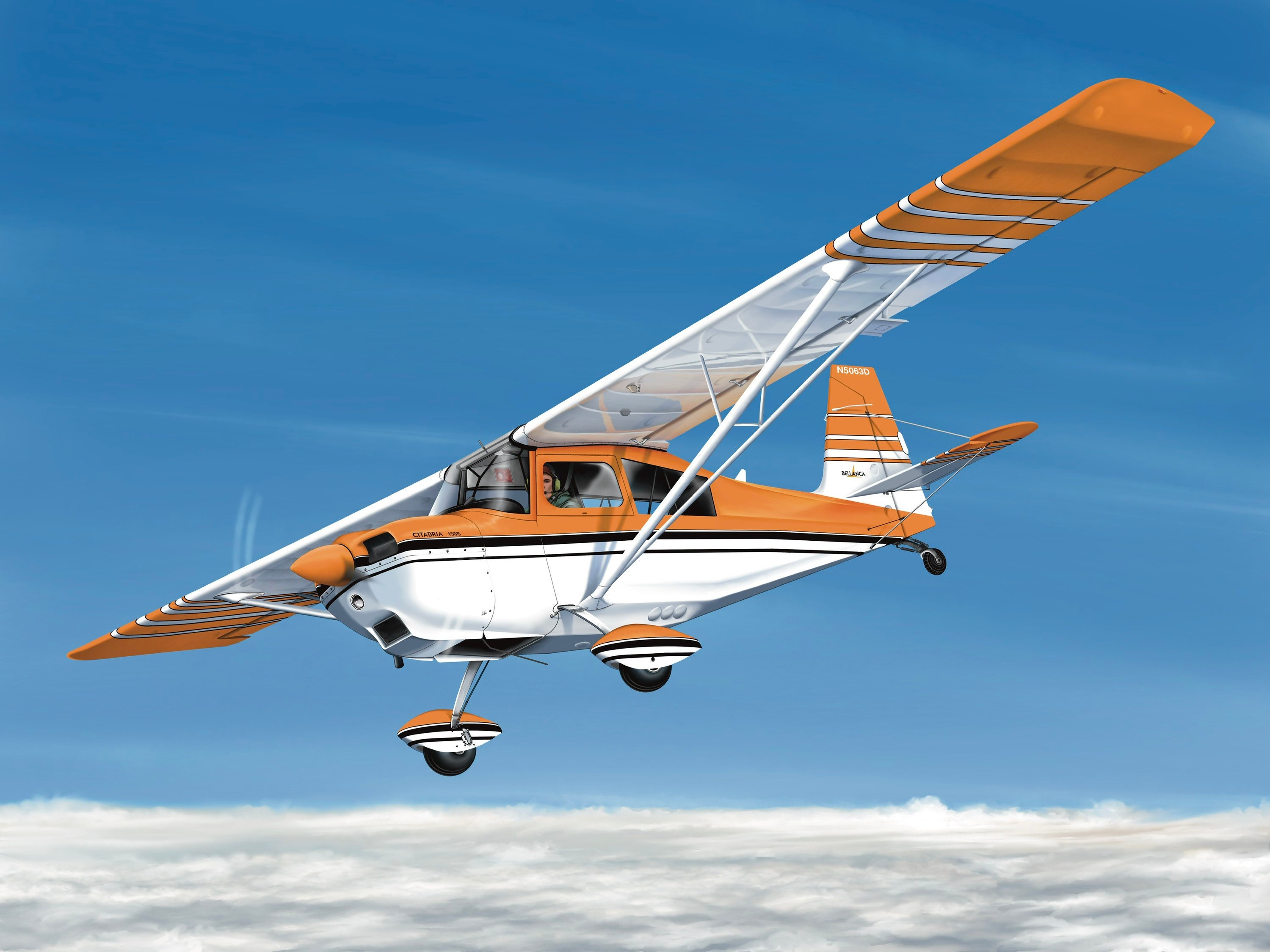 Custom Painting of Your Aircraft - Etsy