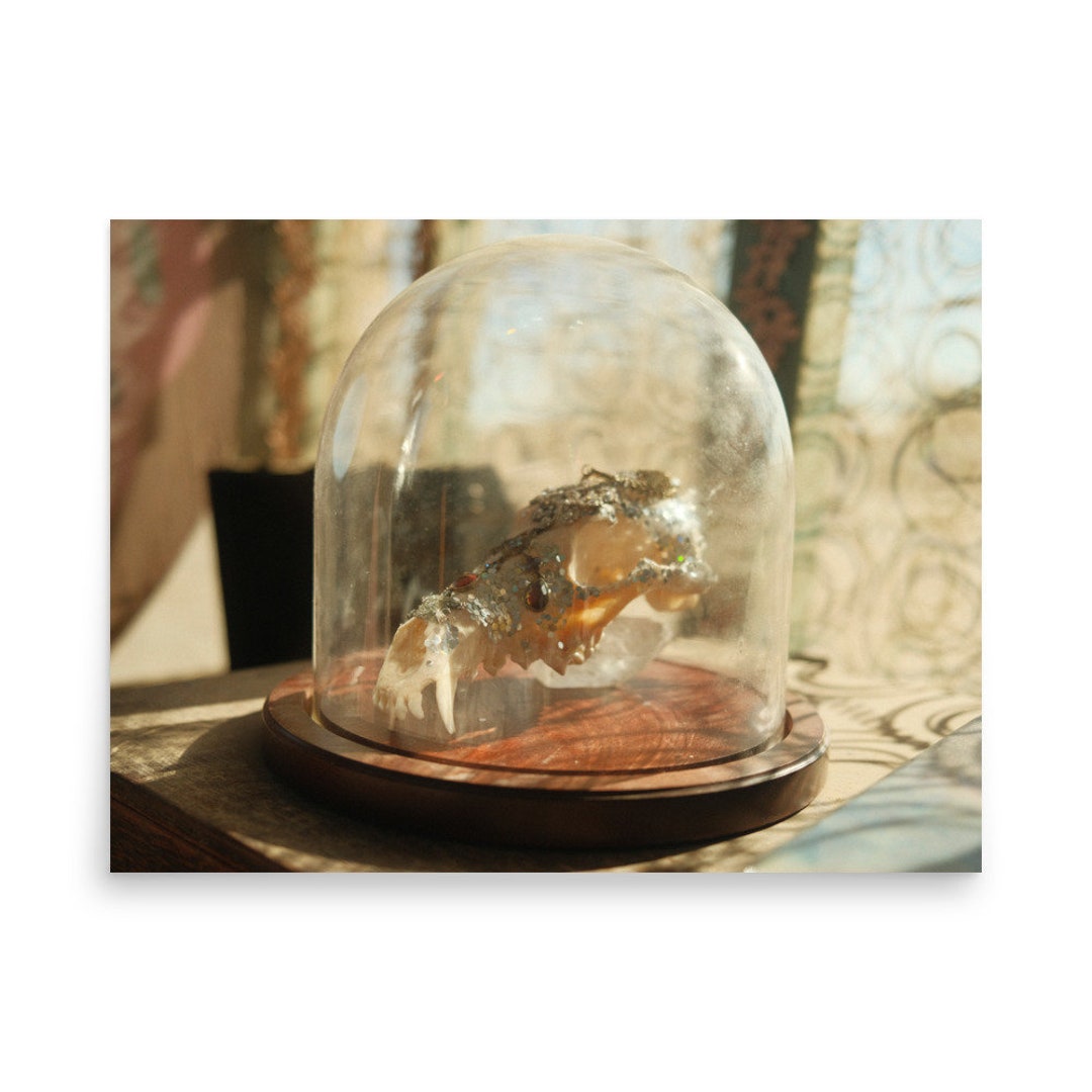 East Jesus Crystal Skull - Etsy