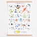 OCEAN Alphabet absea Alphabet Print, ABC Sea , Ocean Animals, Nursery ...