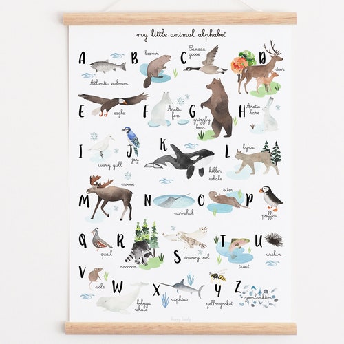 Canadian Wildlife Alphabet Chart - Etsy Canada