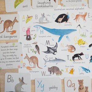 Australian Animal Alphabet Flashcards: Watercolor Learning Game - Etsy
