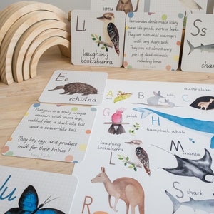 Australian Animal Alphabet Flashcards: Watercolor Learning Game - Etsy