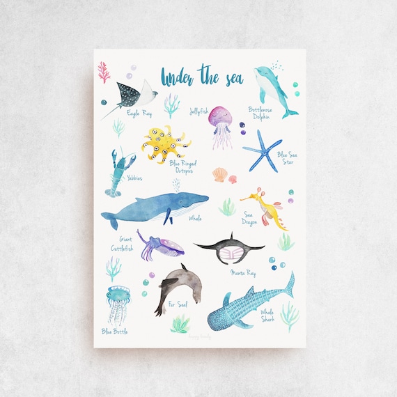 Ocean Sea Creatures Posters