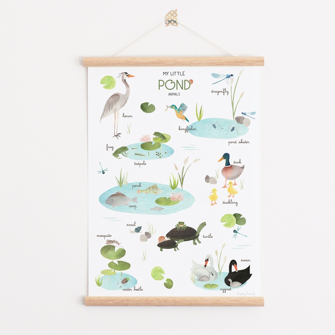 POND - Kid and Nursery Poster "little Pond", Custom Title, Pound ...