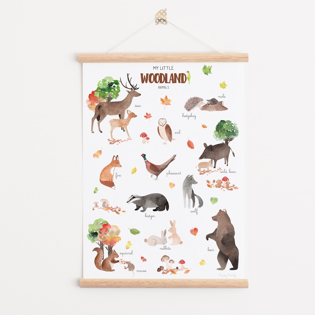Woodland Animals Nursery Poster – Watercolor Forest Art - Etsy