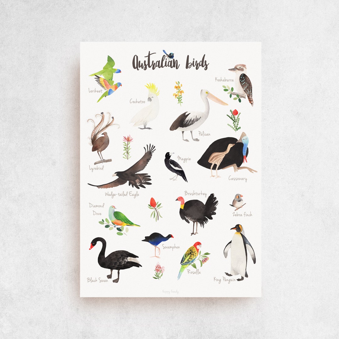 Australian Birds Poster: Watercolor Nursery Art, Alphabet Print - Etsy ...