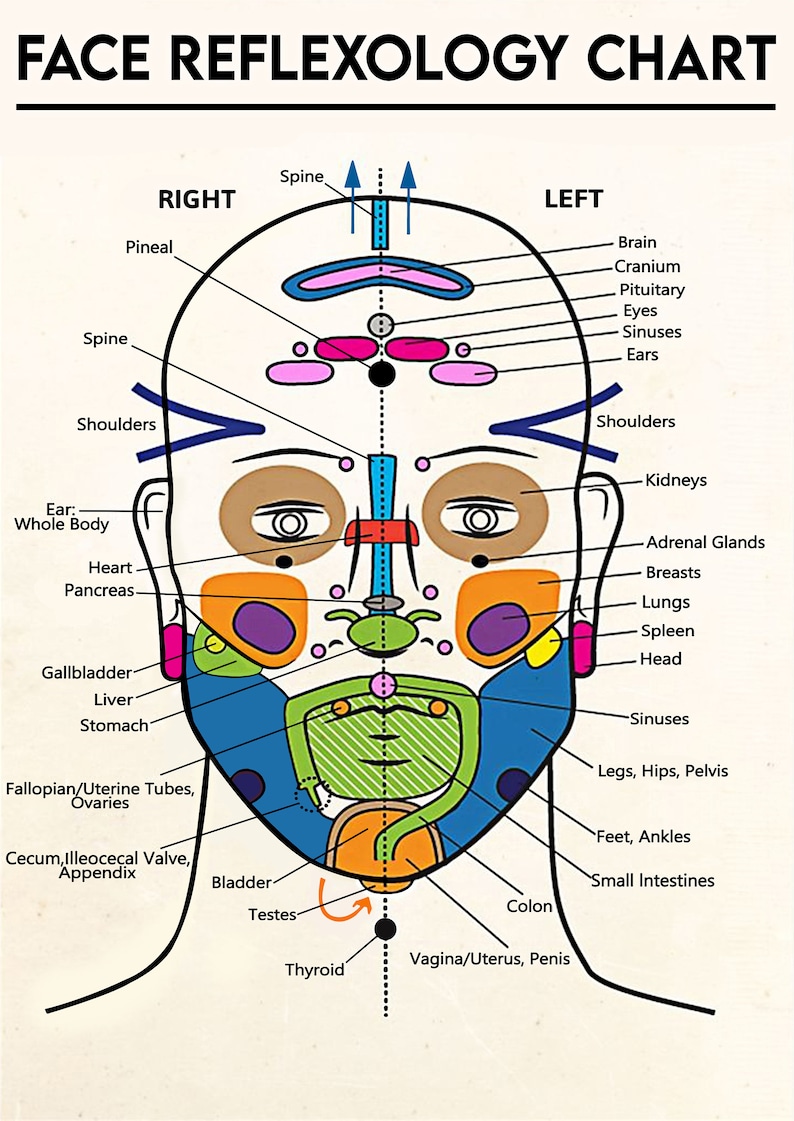 Face Reflexology Chart Poster - Etsy UK