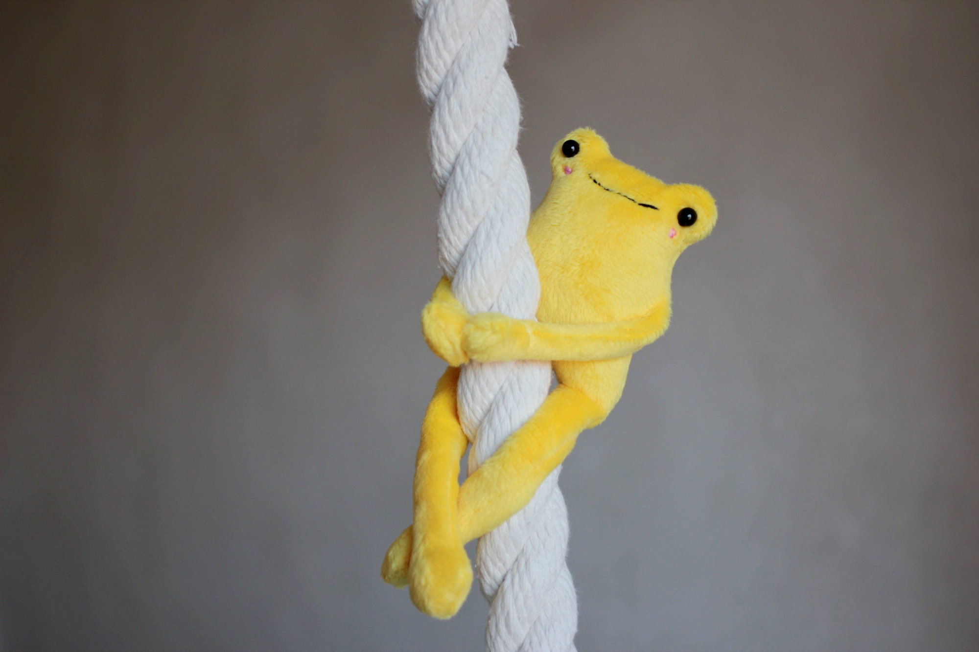 Cute Frog Pdf Pattern Leggy Frog Sewing Tutorial Stuffed Frog - Etsy