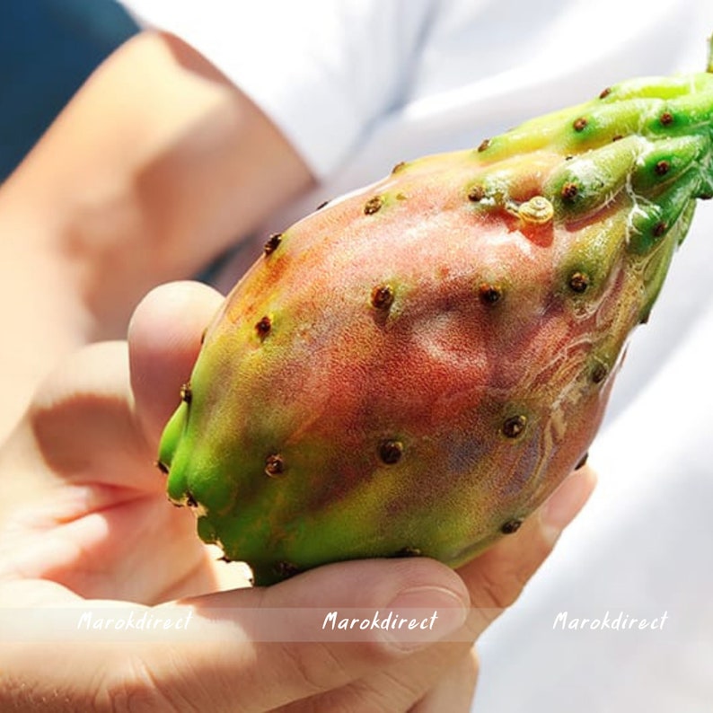 Moroccan Prickly Pear Seed Oil Pure Cactus Oil Barbary Fig Oil All ...