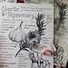 Illustration - Kitchen Witchery - Witchy Decor - Cootagecore - Garlic ...