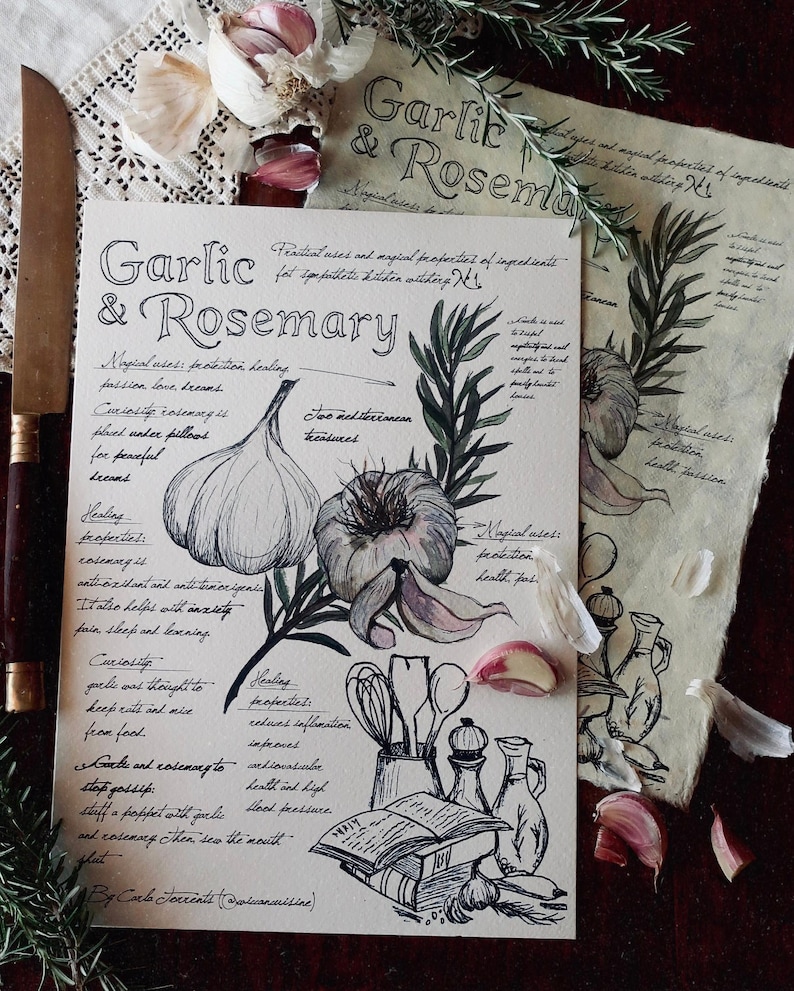 Illustration - Kitchen Witchery - Witchy Decor - Cootagecore - Garlic ...
