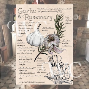Illustration - Kitchen Witchery - Witchy Decor - Cootagecore - Garlic ...