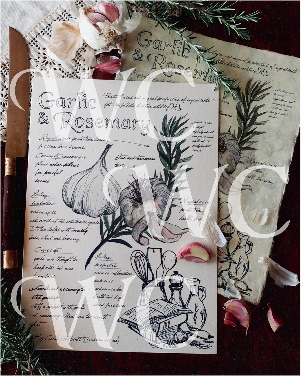 Illustration - Kitchen Witchery - Witchy Decor - Cootagecore - Garlic ...